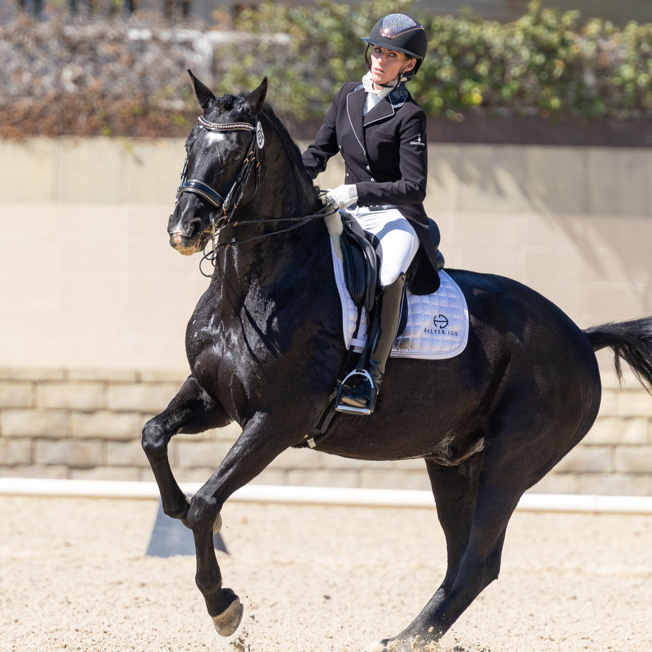 Meet Our Sponsored Riders - Dressage - Halter Ego®