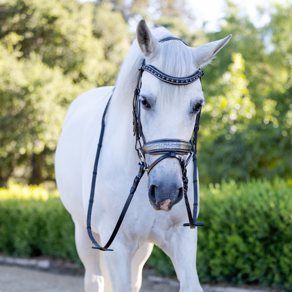 Horse Tack Gear | Equestrian Tack | Halter Ego - Halter Ego®